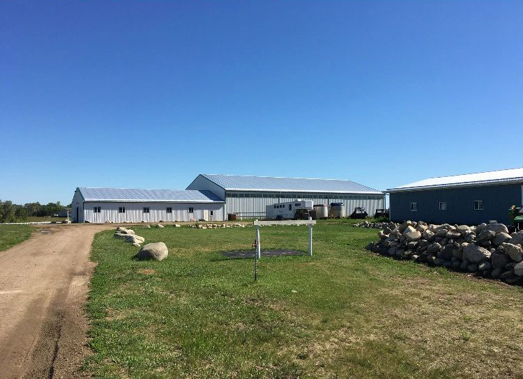 Elevation Equestrian – East Edge Equestrian Centres