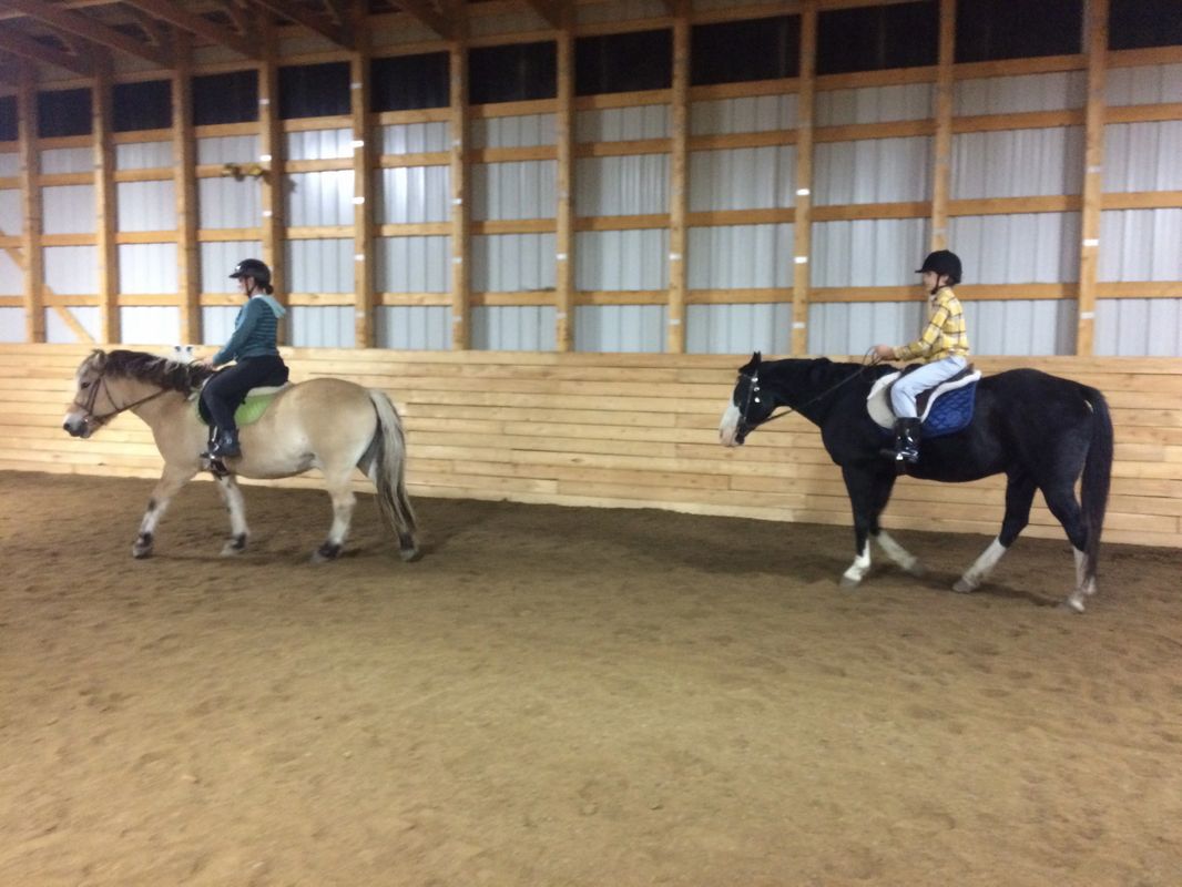 Lessons & Therapy @ Elevation – East Edge Equestrian Centres