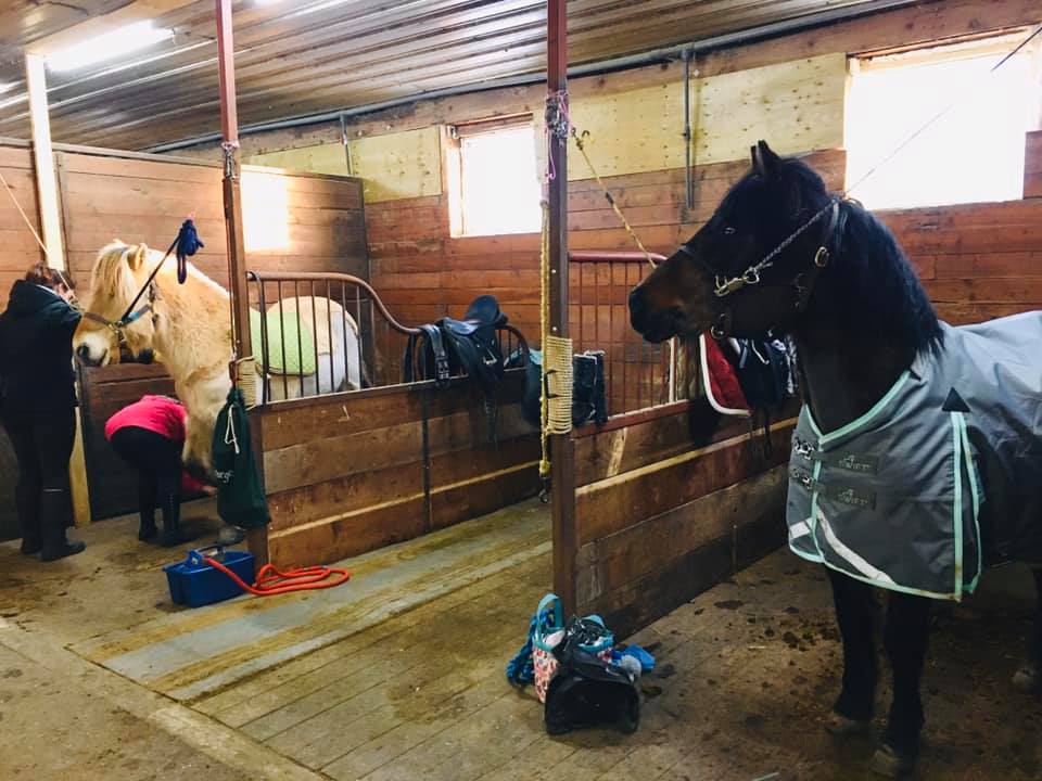 Lessons & Leasing @ East Edge – East Edge Equestrian Centres