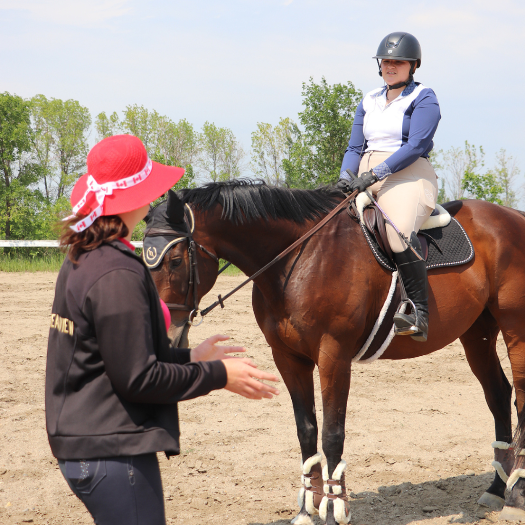 East Edge Equestrian Centres – Year Round Boarding – Equine Excellence ...